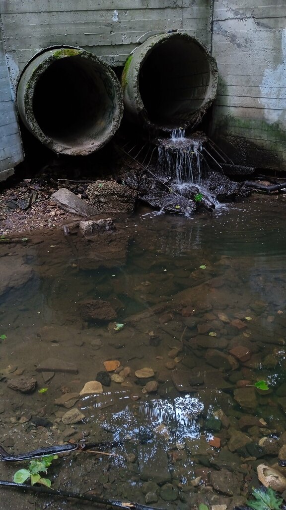 Pınar, çay Spring, stream, Moskova, foto