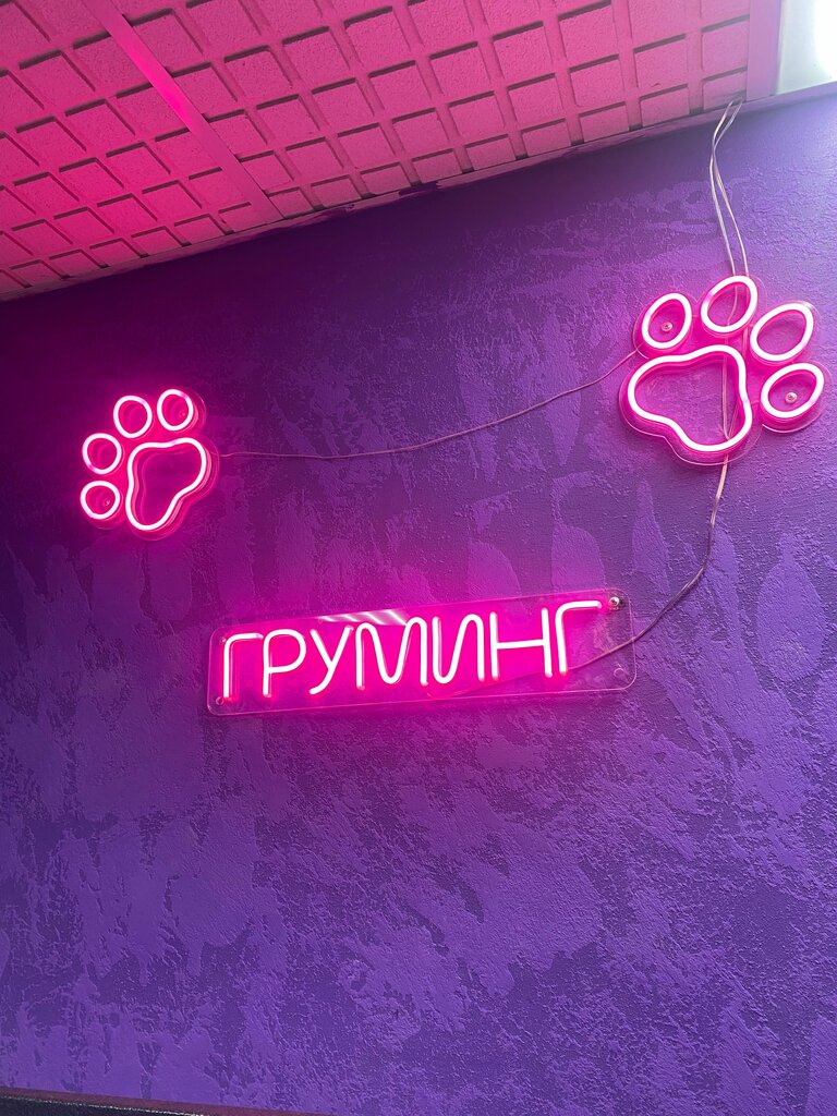 Evcil hayvan kuaförleri Улыбка Чеширского Кота, Vladimirskaya oblastı, foto