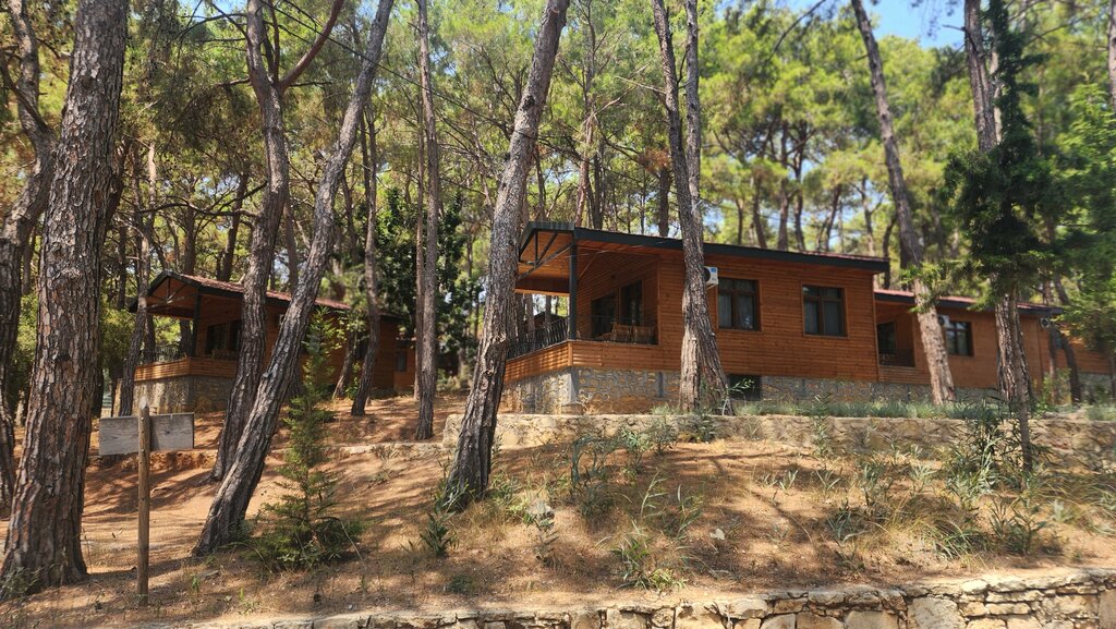 Plaj İncekum Orman Kampı Plajı, Dünya, foto