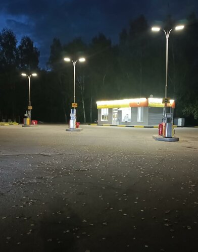 Benzin istasyonu Rosneft, Brianskaya oblastı, foto