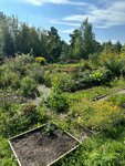 Ботанический сад Сургутского государственного университета (Khanty-Mansi Autonomous Area, Surgut, Botanicheskiy sad Surgutskogo gosudarstvennogo universiteta), bilim araştırma enstitüsü  Surgut'tan