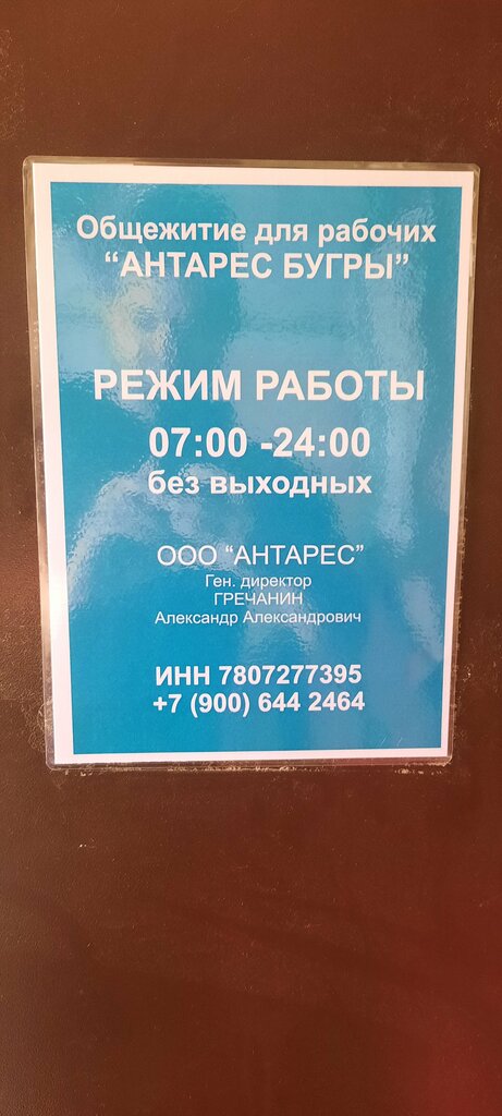 Yurtlar Антарес Бугры, Saint‑Petersburg ve Leningradskaya oblastı, foto