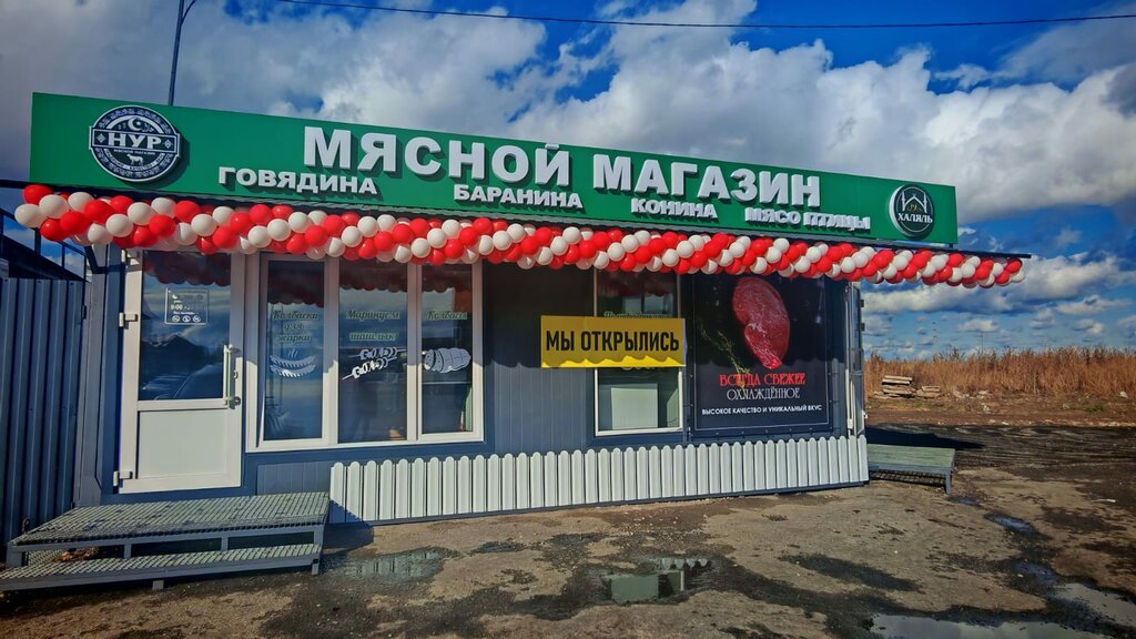 Dondurulmuş gıda firmaları Nur, Tolyatti (Togliatti), foto