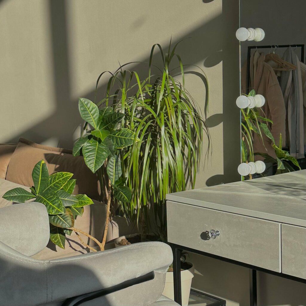 Kaş ve kirpik salonu Place My Brows, Saint‑Petersburg, foto