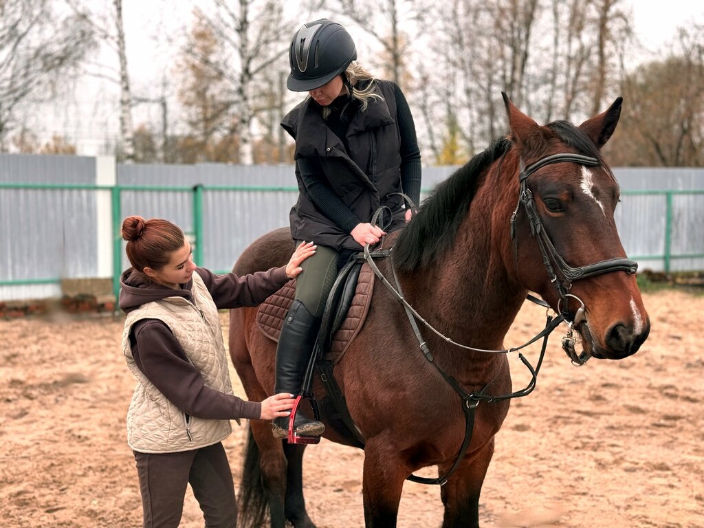 At ve binicilik kulüpleri Частная конюшня, Moskova ve Moskovskaya oblastı, foto