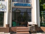 Aviakassa (Samarkand, Mirza Ulugh Beg Street), uçak ve demiryolu biletleri  Semerkant'tan