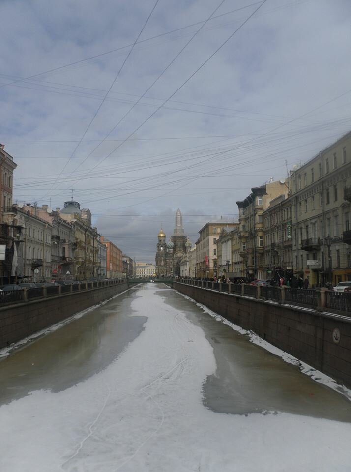 Emlak ofisi Gorod i Dom, Slantsy, foto