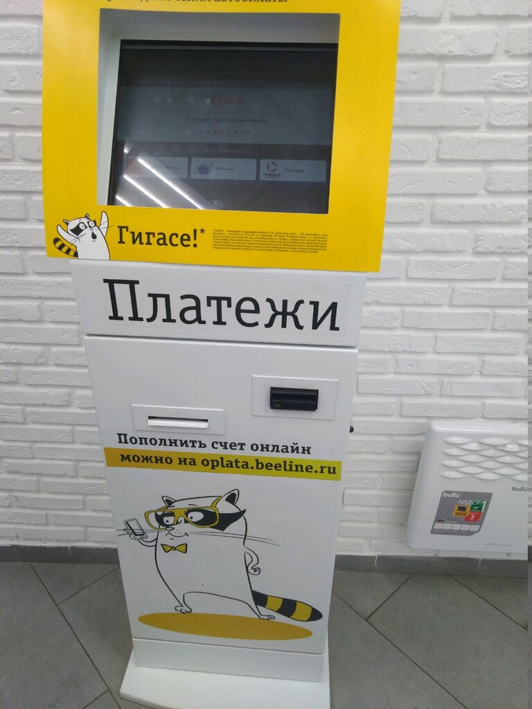 Ödeme terminali билайн, Briansk, foto