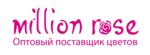 Million rose (1-y Badayevskiy proyezd No:9Г), çiçek pazarı  Saint‑Petersburg'dan