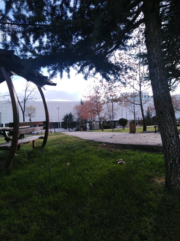 Parklar ve ormanlar Dünya Çocukları Barış Parkı, Ankara, foto