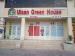 Ulsan Green House (Gazli Chaussee No:1), sera ekipmanları  Buhara'dan