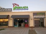Tvoya Rybalka (Bukhara, Abu Ali ibn Sina Avenue), balıkçılık ekipman firmaları  Buhara'dan