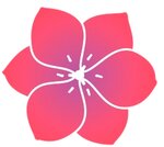 Flowers Vn (Polevoy Lane No:20, Zavokzalniy District), çiçekçiler  Velikiy Novgorod'dan
