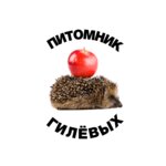 Pitomnik Gilev (Rossiyskaya Street No:45/3), sera ve bahçe ürünleri  Ufa'dan