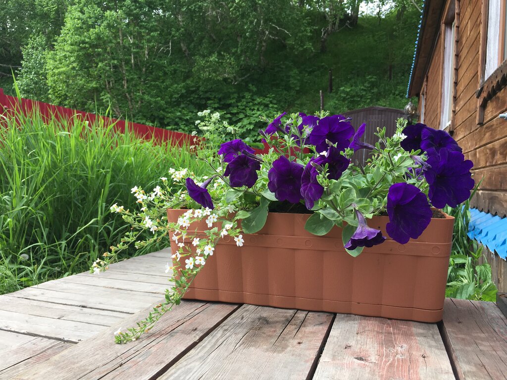 Otel Гостевой дом Апрельский, Kamçatski krayı, foto