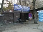 Autoelectrician (Almaty, Iassaýı kóshesi), oto elektrik tamiri  Almatı'dan