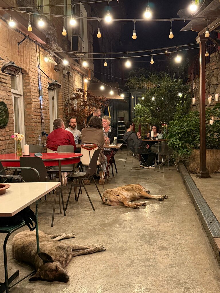 Bar Sulico Wine Bar, Tiflis, foto