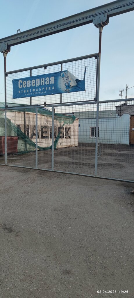 Hayvancılık Птицефабрика Северная, Torzgok, foto