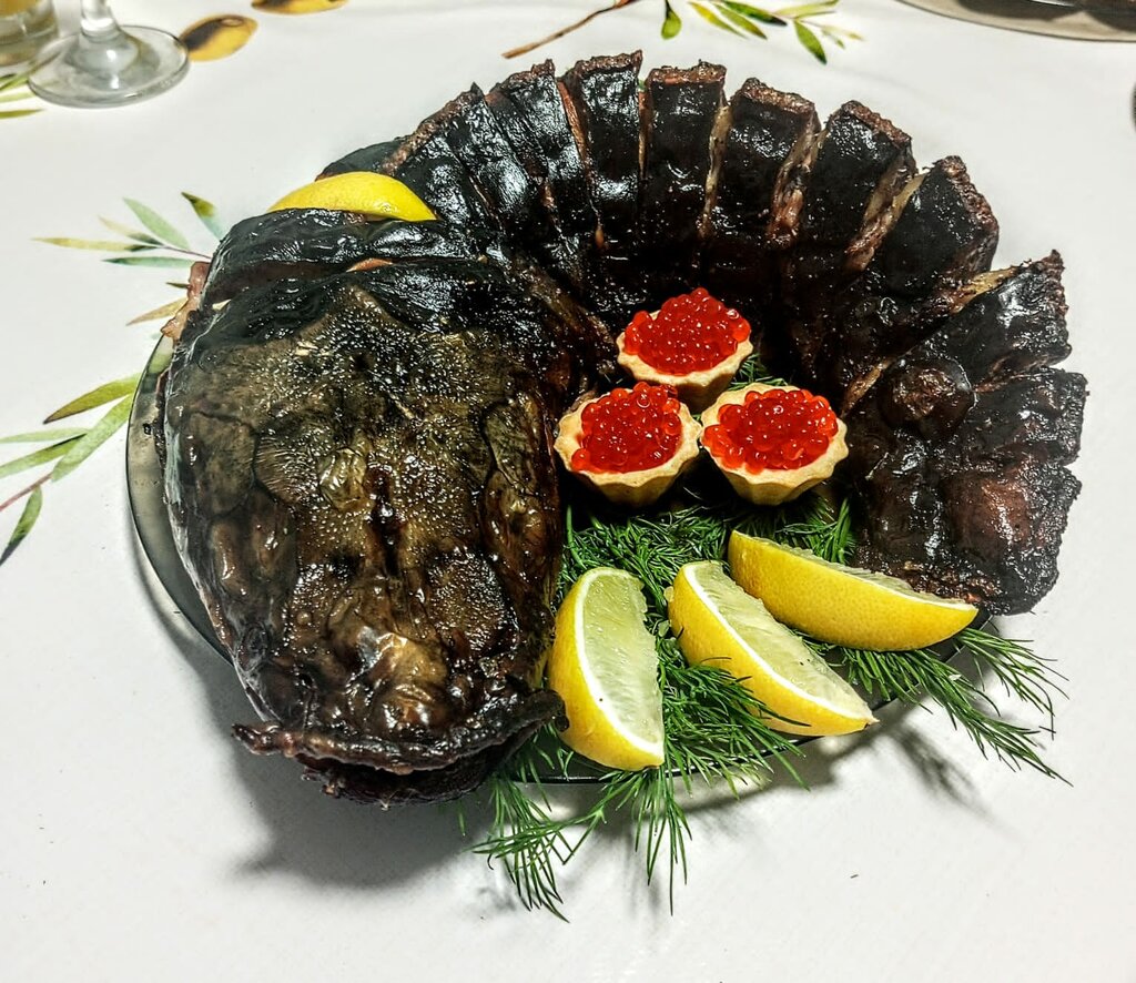 Balık ve deniz ürünleri Африканский сом, Karaçay‑Çerkez Cumhuriyeti, foto