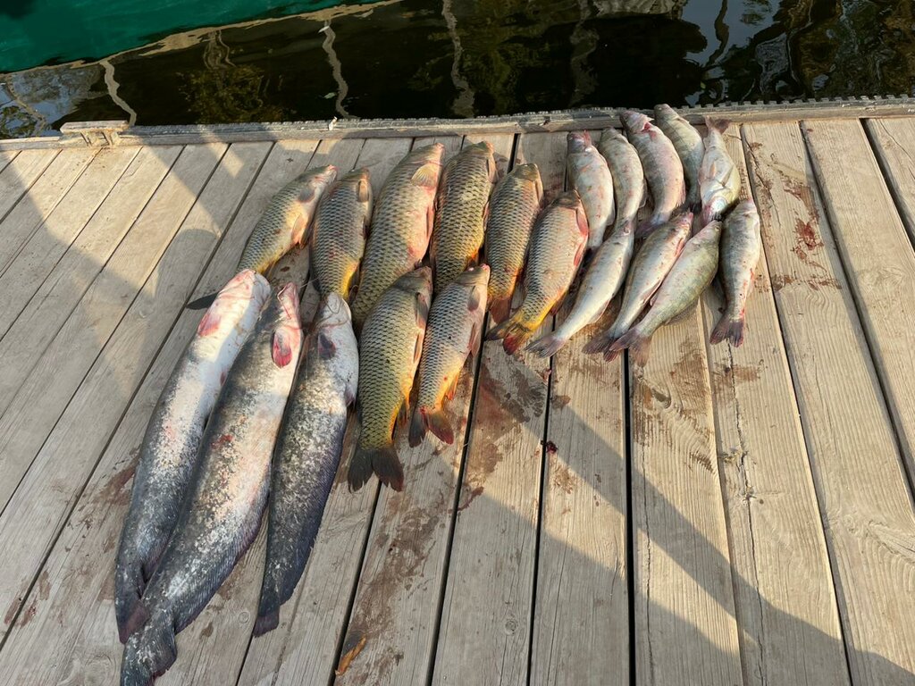 Avcılar ve balıkçılar У Петровича, Astrahanskaya oblastı, foto