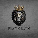 Black Lion (Novaya ulitsa No:29, Tsentralniy City administrative district, Dubinka Microdistrict), oto yıkama  Krasnodar'dan