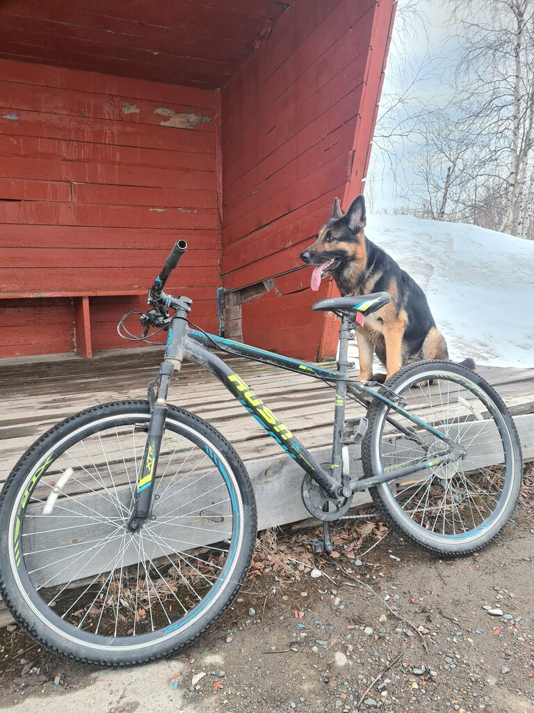 Toplu taşıma durağı Площадь Ленина, Igarka, foto