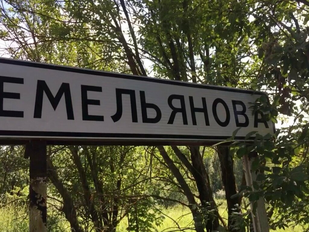 Pınar, çay Spring, stream, Brianskaya oblastı, foto