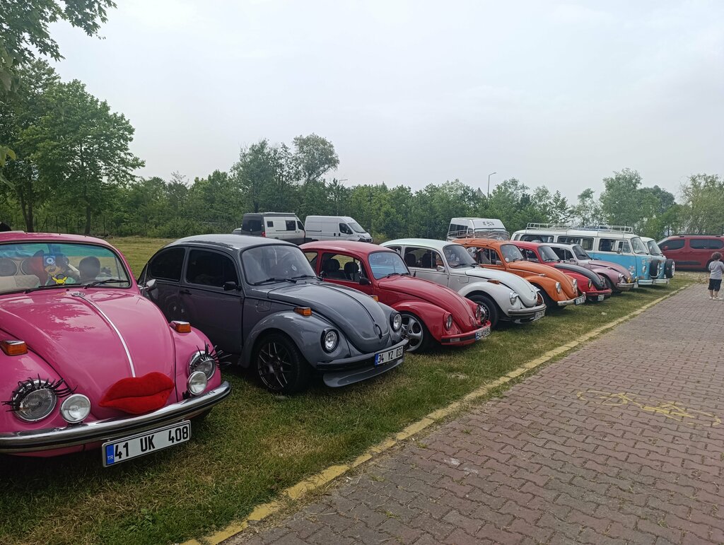 Sergi salonları, galeriler Sapanca Belediyesi Festival ve Fuar Alanı, Sapanca, foto
