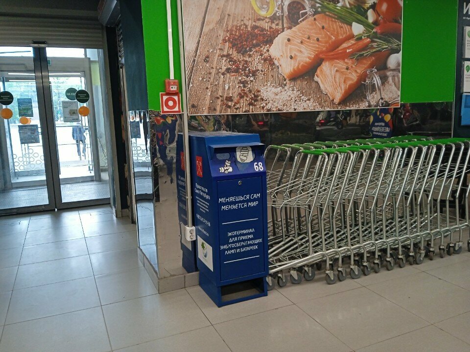 Ayrı çöp toplama noktası Экострой, Saint‑Petersburg, foto