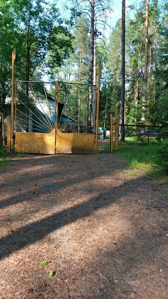 Unutulmaz olayların yeri ДОЛ Старт, Nijegorodskaya oblastı, foto