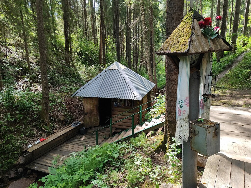Pınar, çay Spring, stream, Nijegorodskaya oblastı, foto