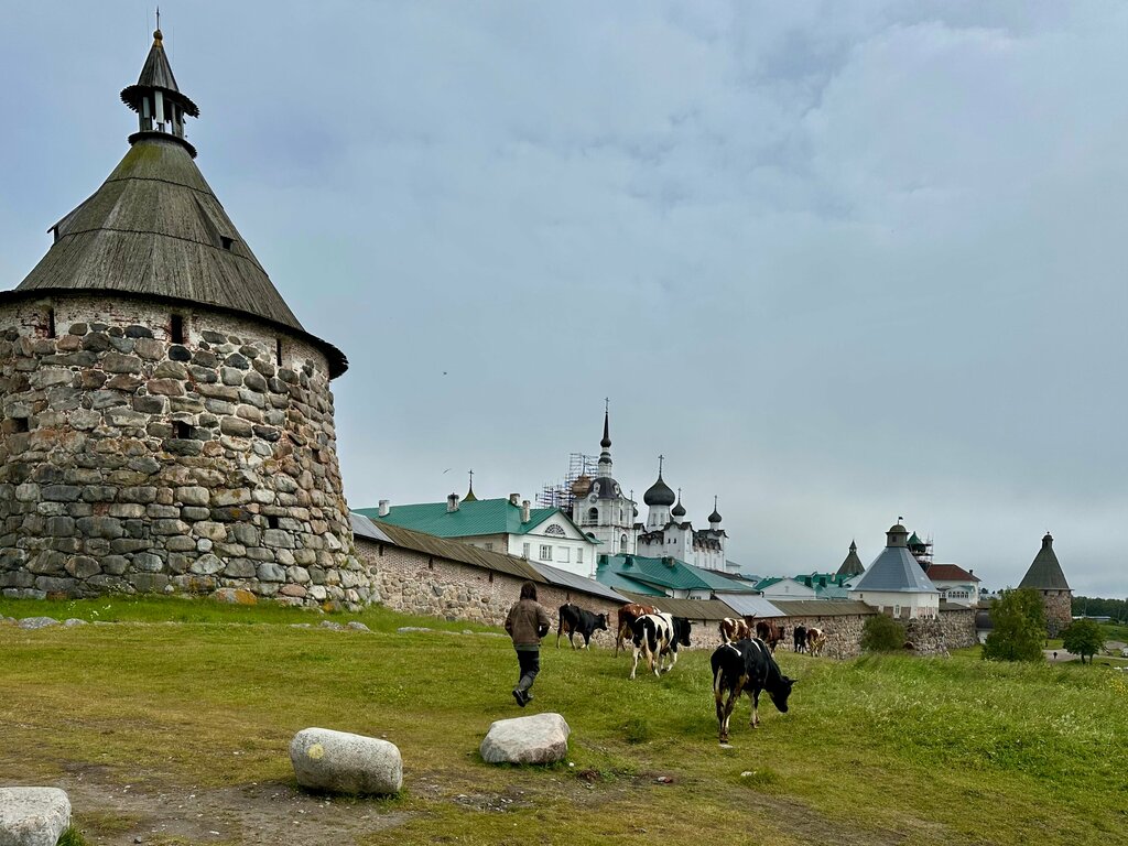 Geziler Экскурсионное бюро, Arhangelskaya oblastı, foto