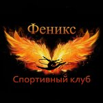 Fenix (Sverdlov street No:36), spor kulüpleri  Irkutsk'tan