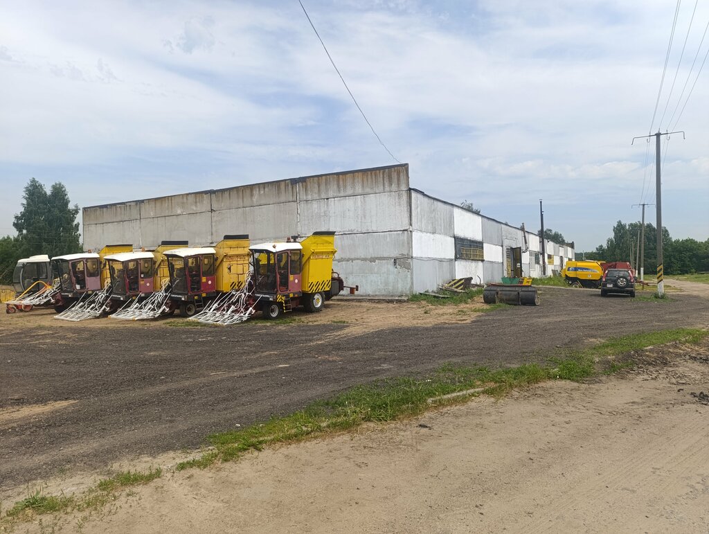 Otomobil servisi ТехноМаксСервис, Çausy, foto