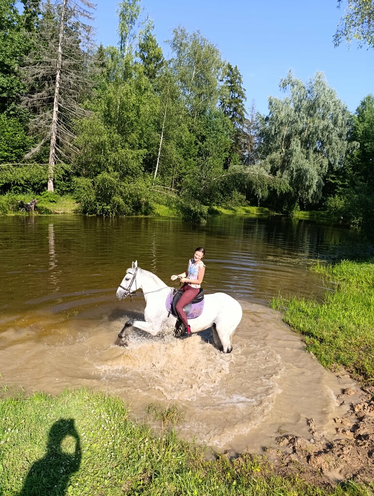 At ve binicilik kulüpleri Konny klub Zingaro, Moskova ve Moskovskaya oblastı, foto