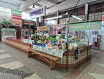 Ovoshchnoy magazin (ulitsa Rozhdestvenskogo No:6), manavlar  Omsk'tan