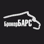 Брокер Барс (Zarechnaya ulitsa No:3А, Sovetskiy City Administrative District, Konstantinovka Urban Housing Estate), araç muayene istasyonları  Kazan'dan