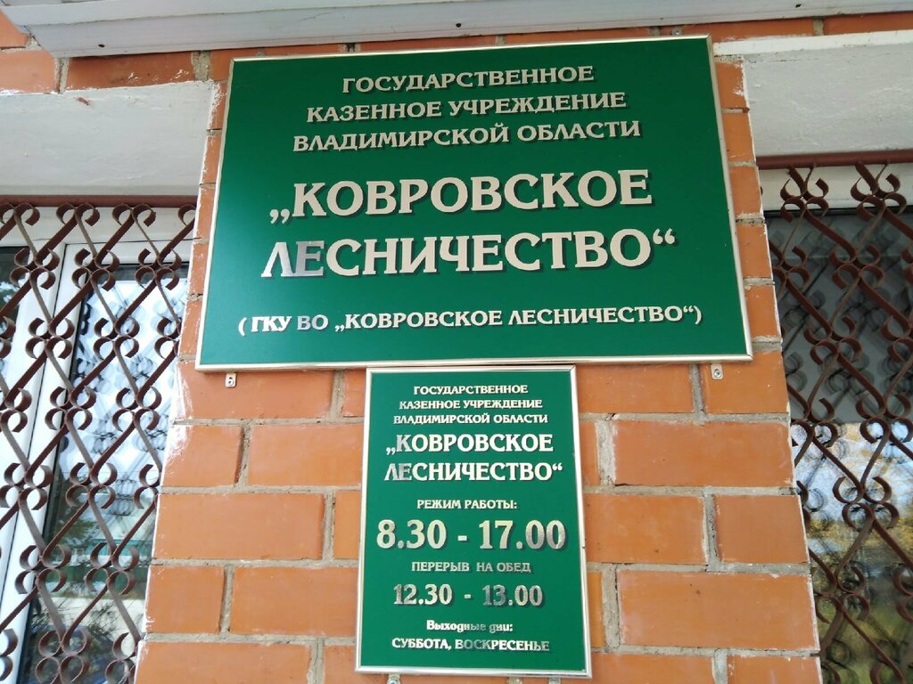 Orman işleri Ковровское лесничество, Vladimirskaya oblastı, foto