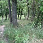 Zapadno-kavkazsky nauchny tsentr (Zvyozdny tupik No:9), bilim araştırma enstitüsü  Tuapse'den