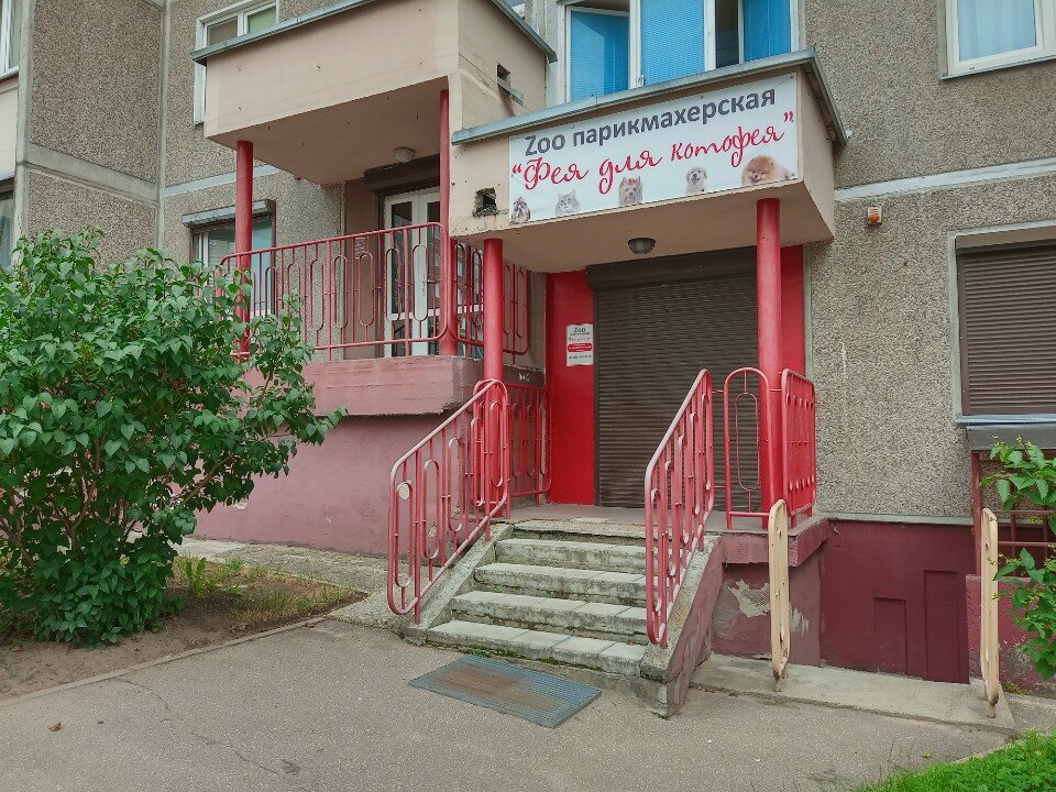 Evcil hayvan kuaförleri Wróżka dla kotafeya, Grodno, foto
