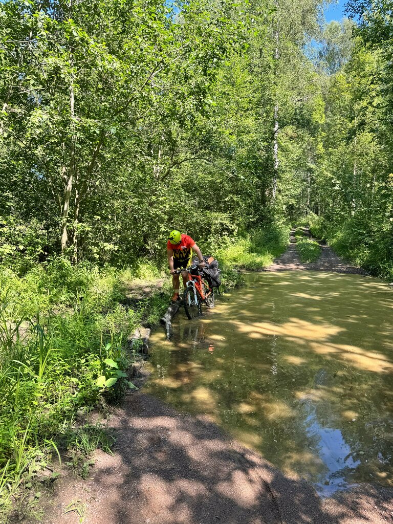Turistik yerler Пешеходный экологический маршрут Карельская тишина, Saint‑Petersburg ve Leningradskaya oblastı, foto
