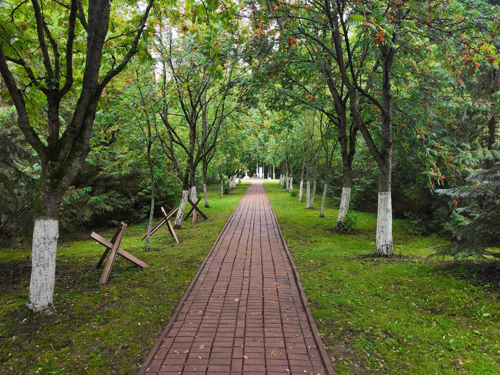 Teknoloji anıtı Декоративные противотанковые ежи, Moskova ve Moskovskaya oblastı, foto