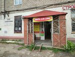 Новая жизнь (Zarechnaya ulitsa No:138), hobi kulüpleri  Perm'den