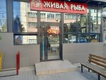 Live Fish (Leo Tolstoy Street No:8), balık ve deniz ürünleri  Bişkek'ten