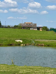 Saloon (Moscow Region, Dmitrovskiy Urban District, Village of Pokhodkino), kafe  Moskova ve Moskovskaya oblastından