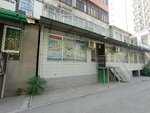 Tur.kg (Dyuishonkul Shopokov Street No:34), seyahat acenteleri  Bişkek'ten