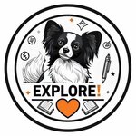 Explore! (Naberezhnaya ulitsa No:35к2, mikrorayon Novaya Derevnya), yabancı dil kursları  Puşkino'dan