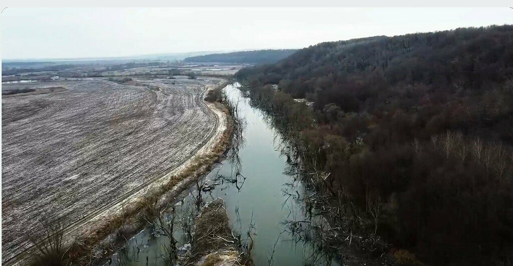 Orman урочище Каменское Болото, Kurskaya oblastı, foto