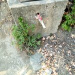 Spring, stream (Sevastopol, Balaklava, sadovodcheskoye tovarishchestvo Blagodatny), pınar, çay  Sevastopol'dan