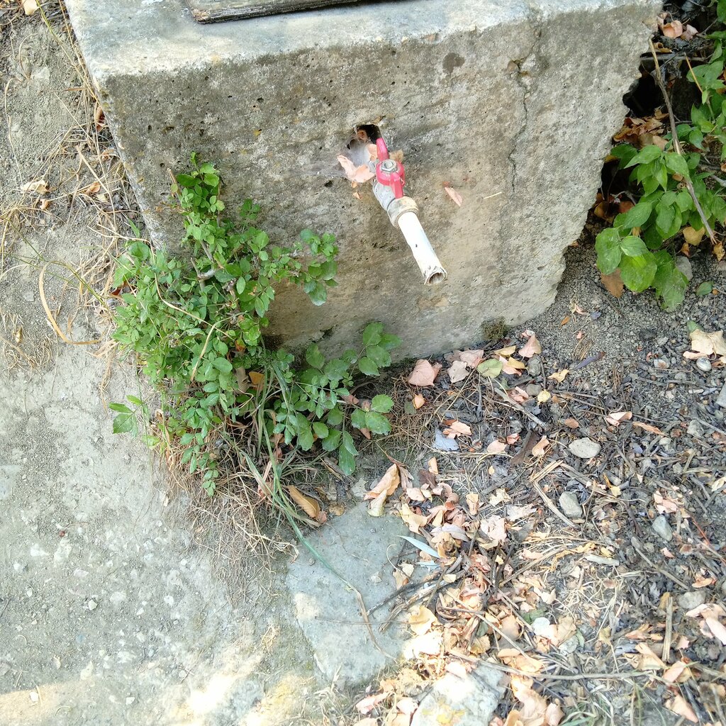 Pınar, çay Spring, stream, Sevastopol, foto